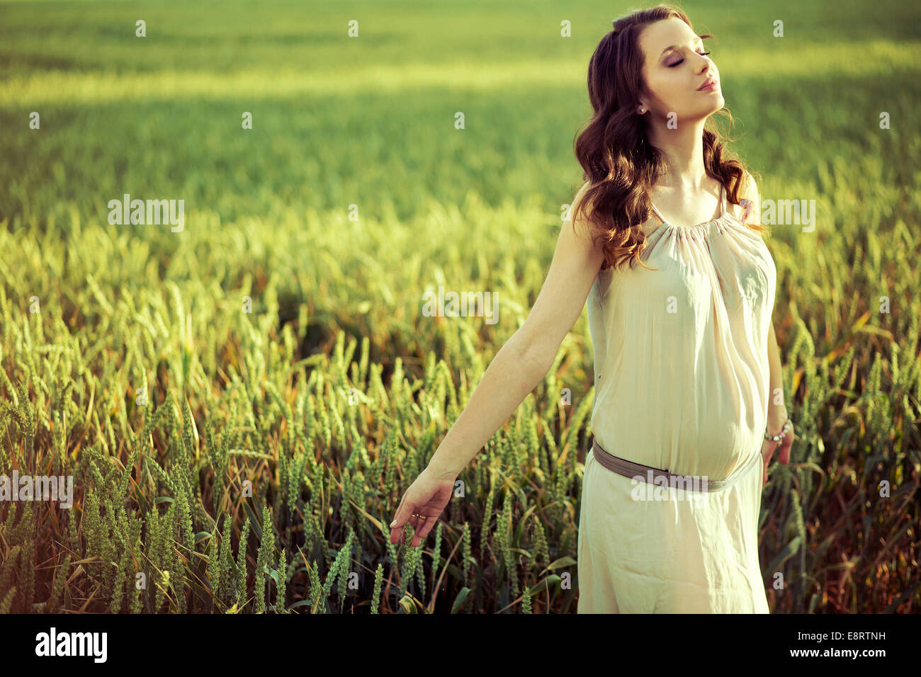 Pregnant lady walking on the corn field Stock Photo - Alamy