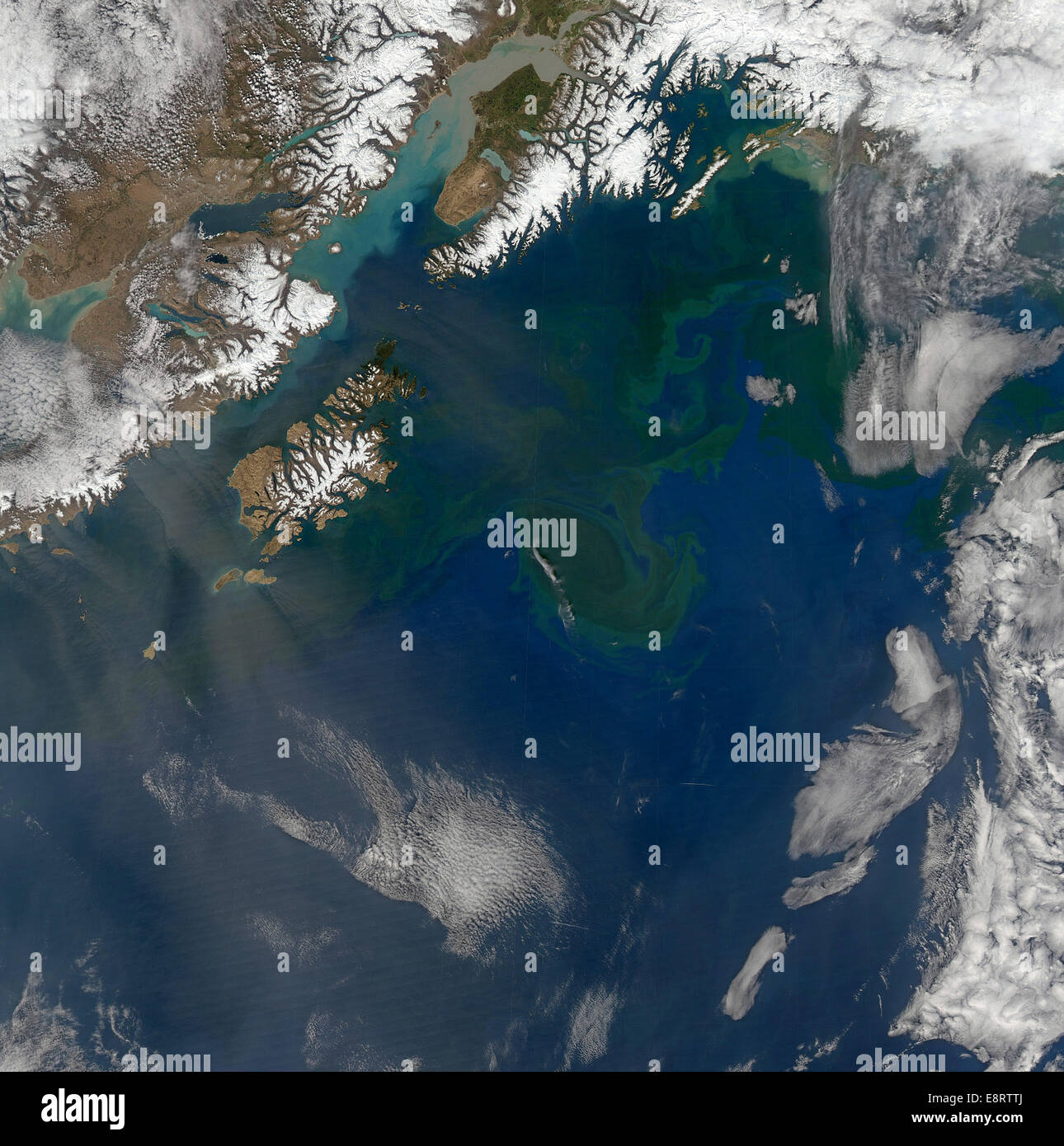 The Gulf of Alaska experiences a seasonal increase in phytoplankton ...