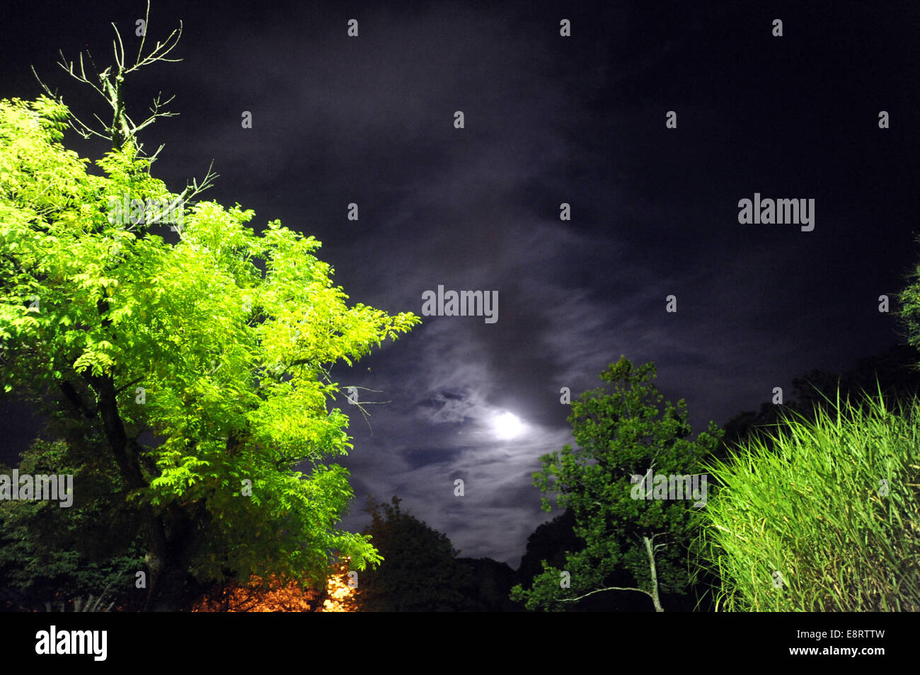 The September Harvest Moon, as observed from NASA's Goddard Space ...