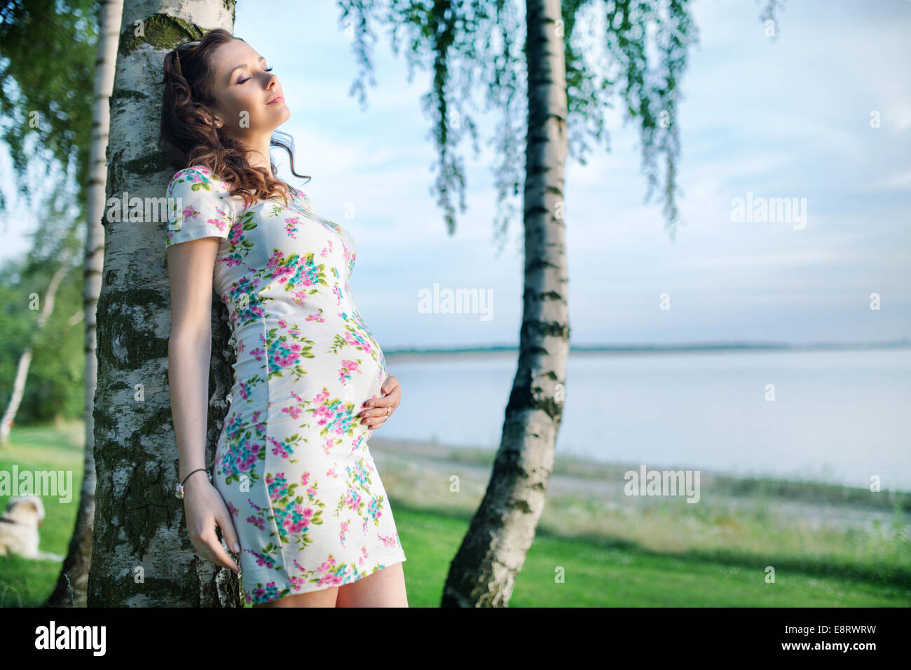 Relaxed pregnant woman leaning against the tree Stock Photo - Alamy