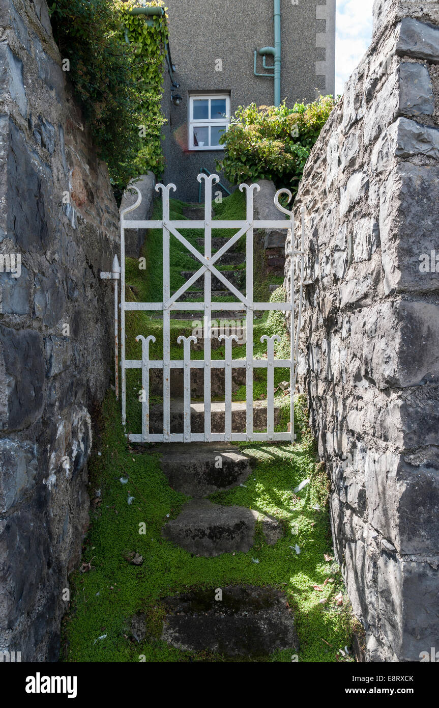 A white gate leading up steep weed ridden steps to a house Stock Photo ...