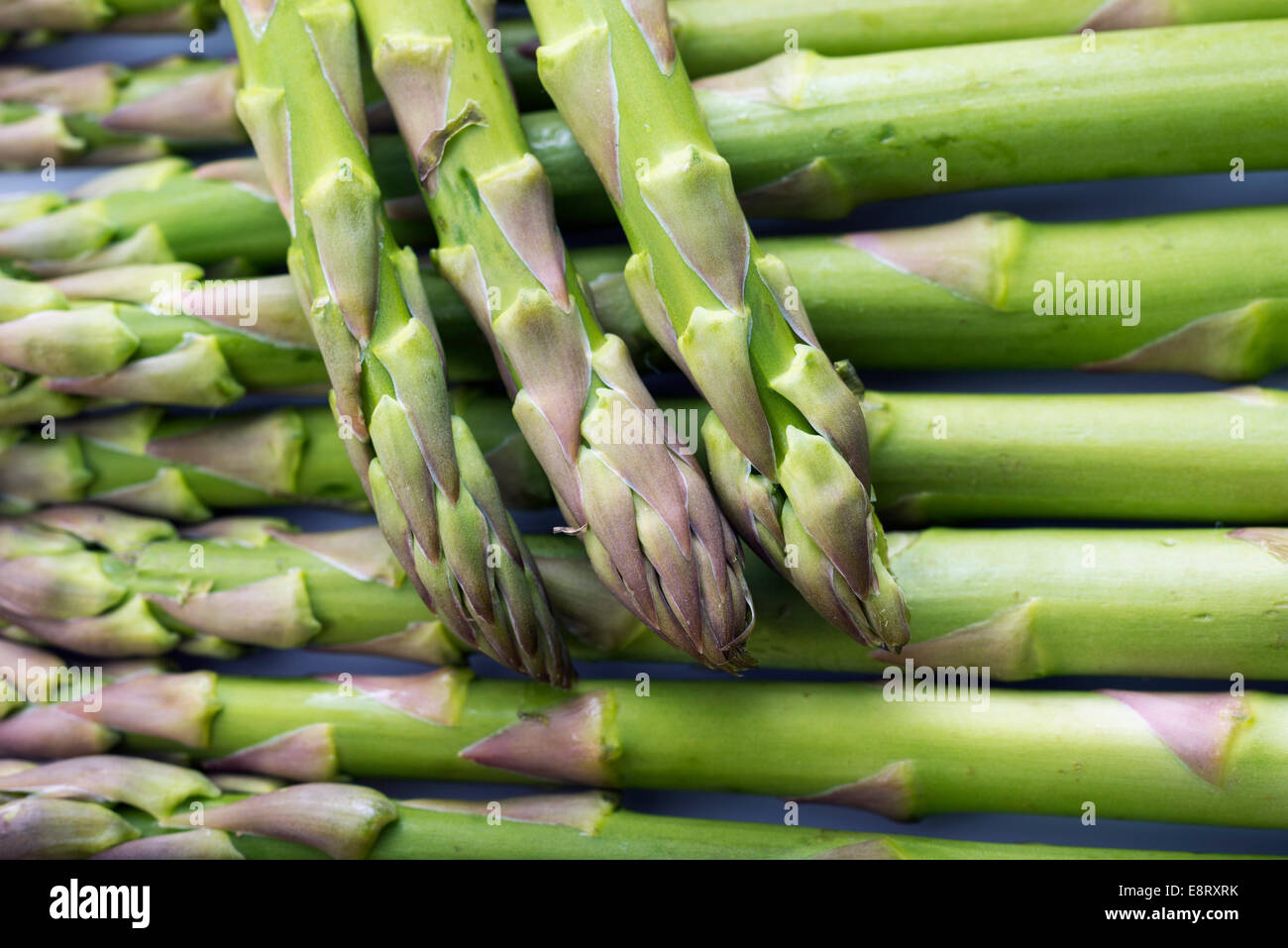 Closeup of bunch of asparagus on white background Stock Photo - Alamy
