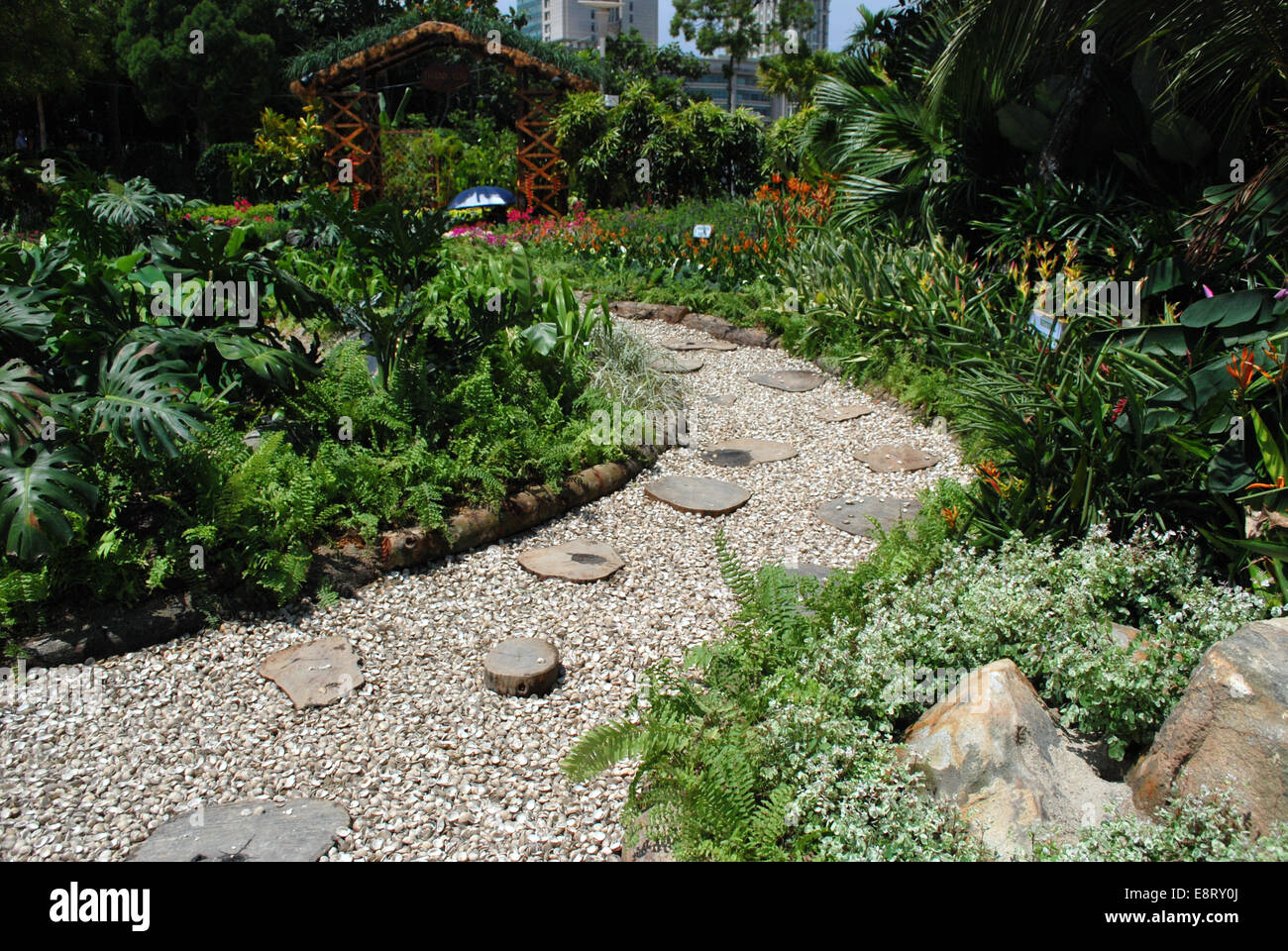 Landscaped garden with cockle shells and wood bloks foot path Stock ...