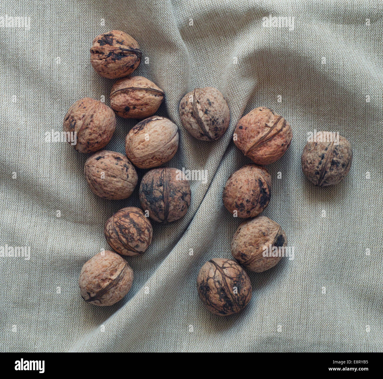 Walnut nutshell hi-res stock photography and images - Alamy