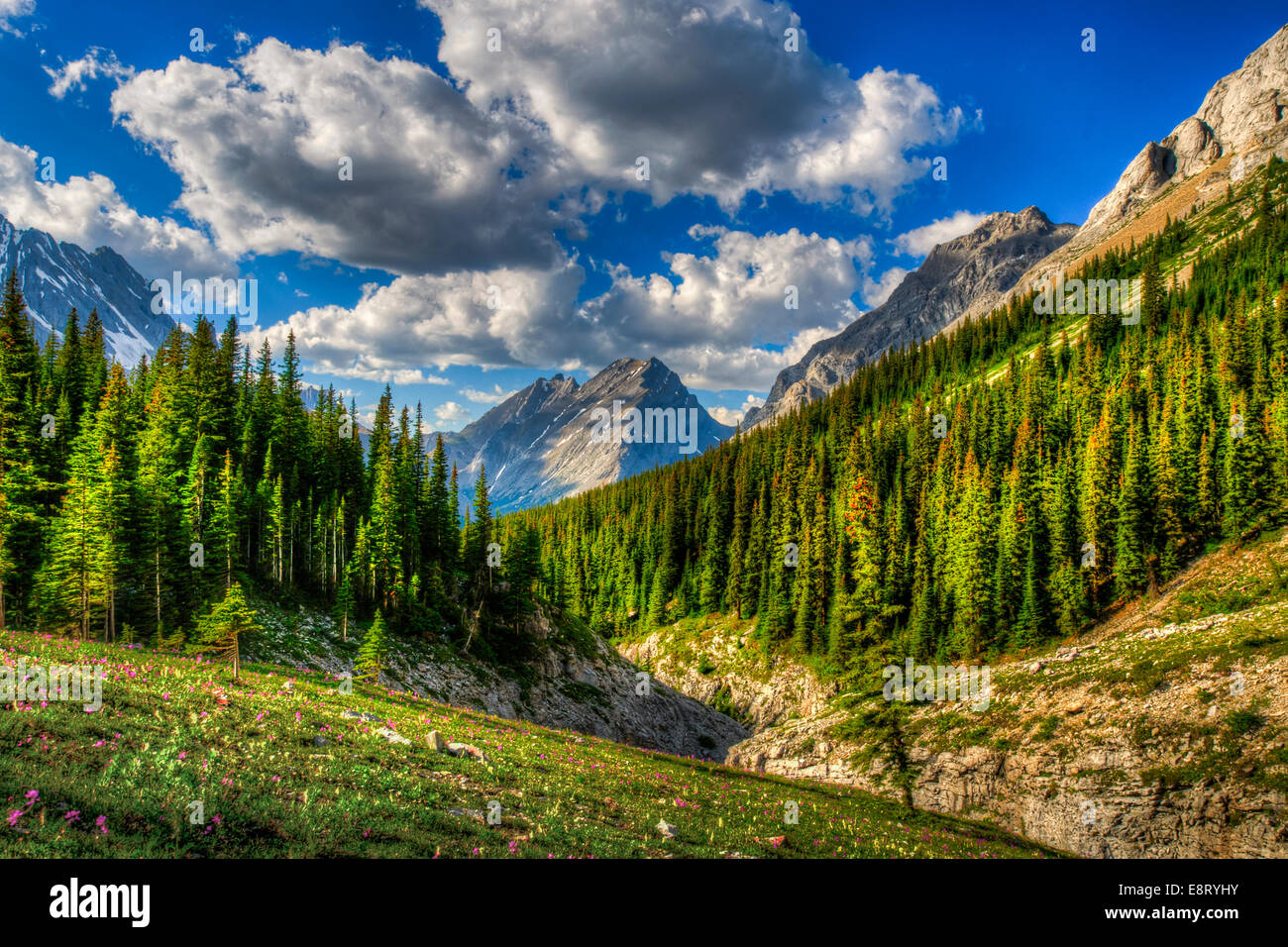 Elbow lake area hi-res stock photography and images - Alamy