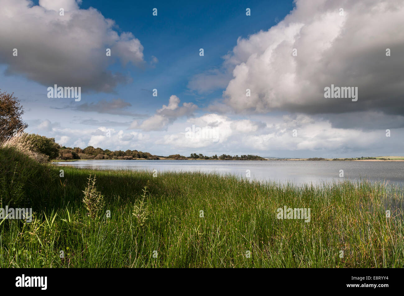 Llyn Alaw Reservoir on Anglesey North Wales Stock Photo - Alamy