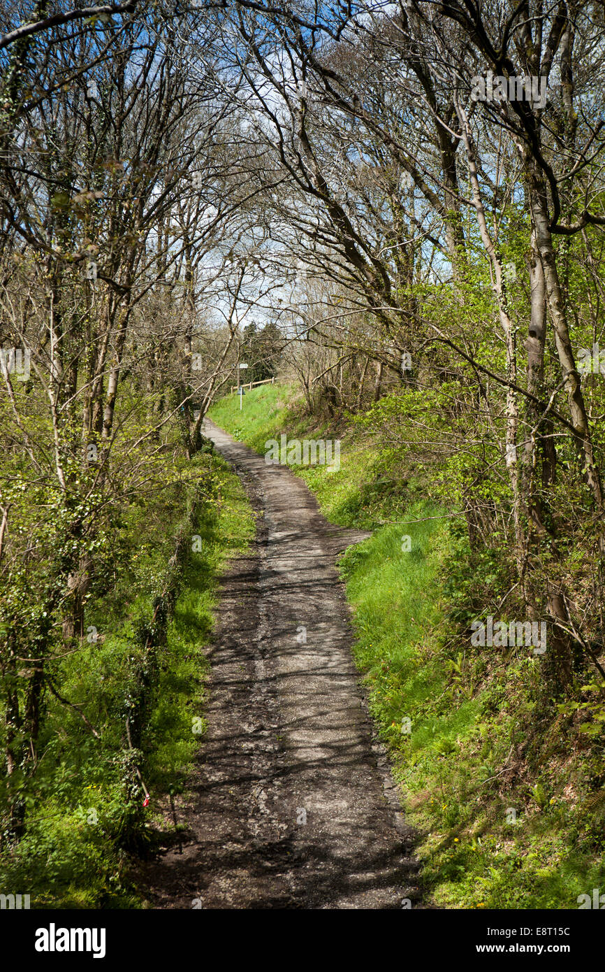UK, England, Devon, Great Torrington, Tarka Trail Stock Photo - Alamy