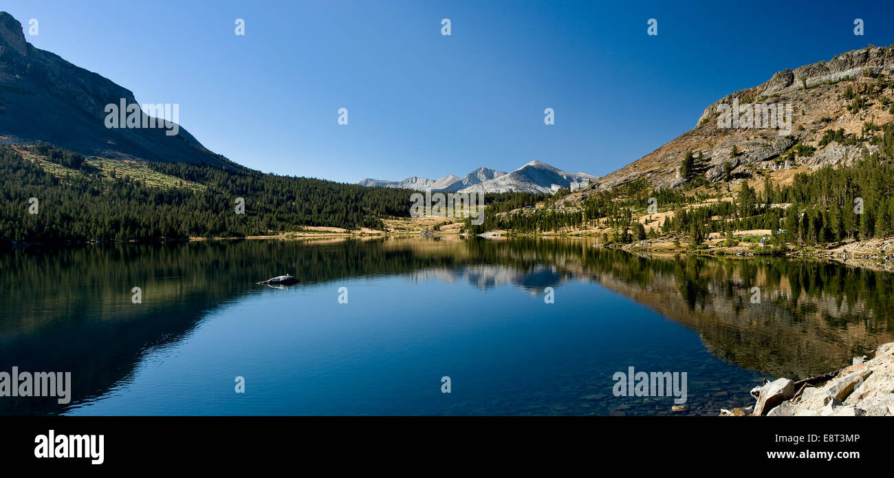 Tioga Lake panoramic Stock Photo - Alamy