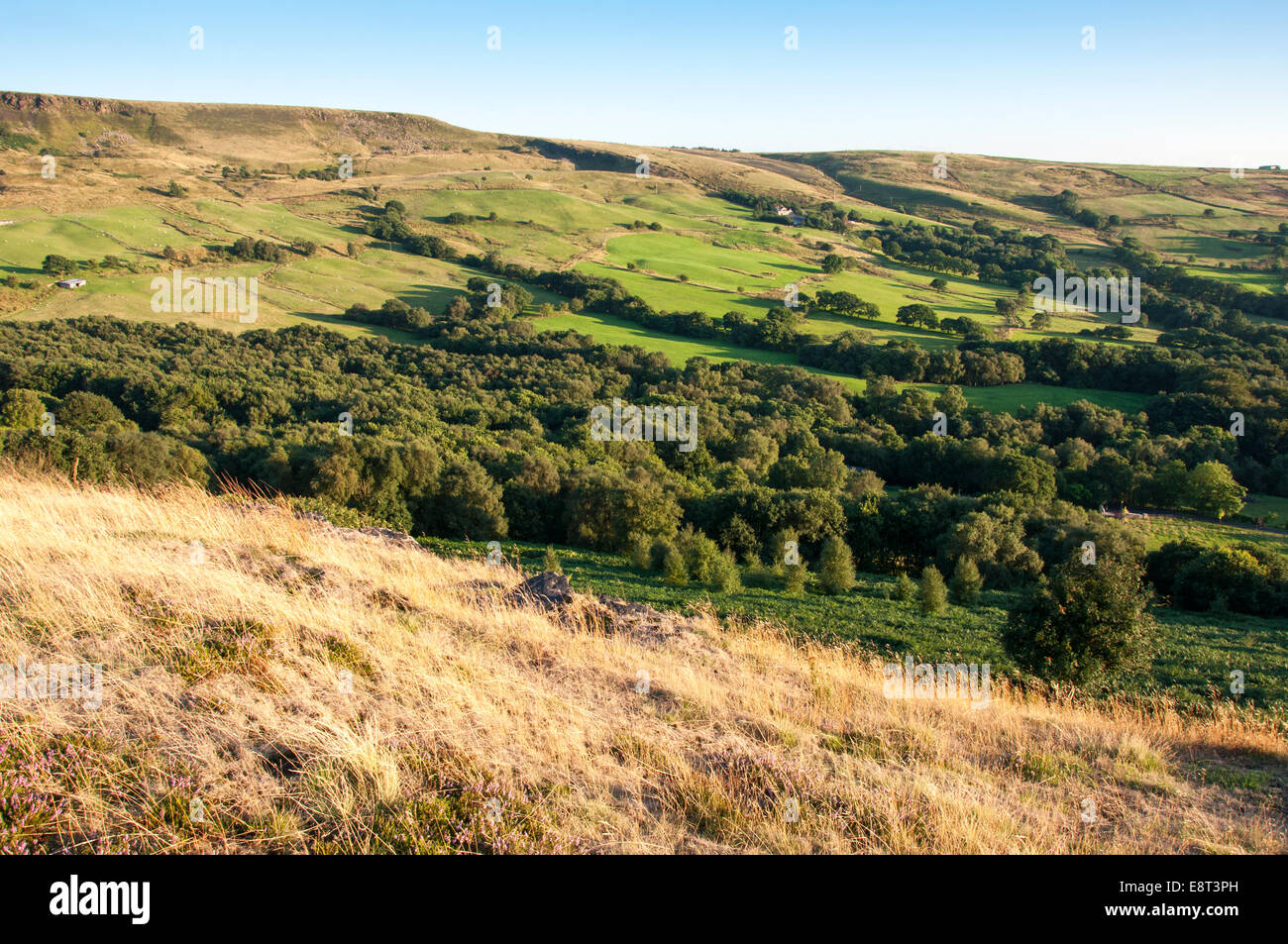 Beautiful English summer landscape. A pleasant sunny evening near ...