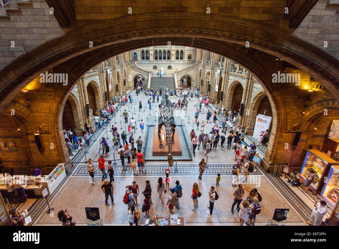 Central hall of natural history museum hi-res stock photography and ...