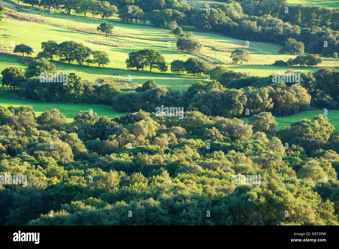Woods and fields hi-res stock photography and images - Alamy