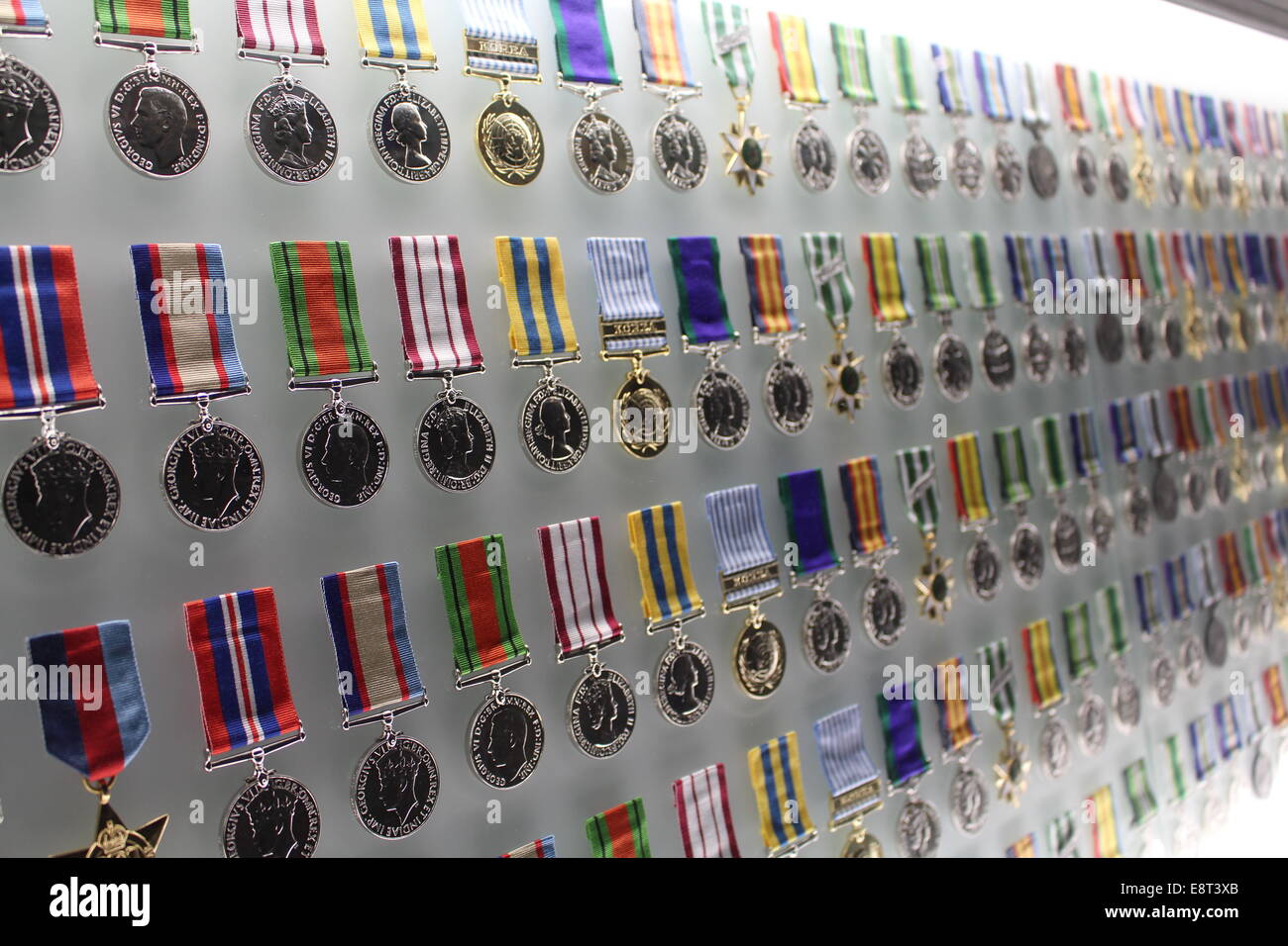 Honor display cabinet hi-res stock photography and images - Alamy