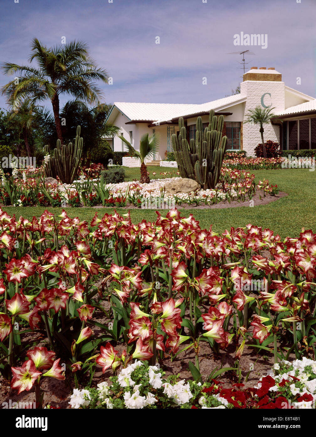 1960s House And Garden High Resolution Stock Photography and Images - Alamy