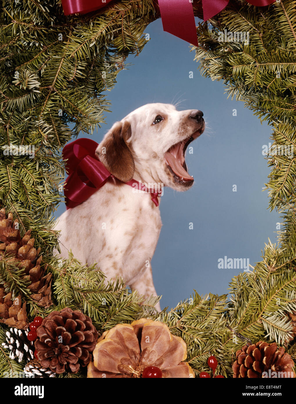 1960s xmas hi-res stock photography and images - Alamy