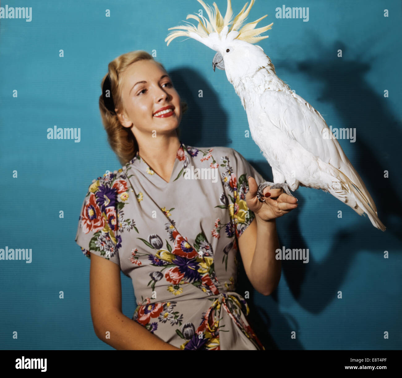 1940s 1950s PORTRAIT BLOND WOMAN SMILING AT COCKATOO PERCHED ON FINGERS ...