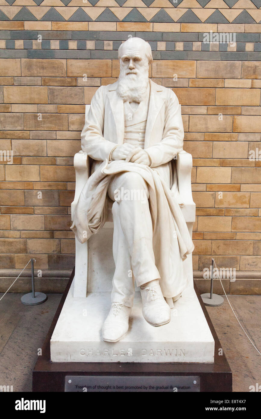Darwin museum hi-res stock photography and images - Alamy