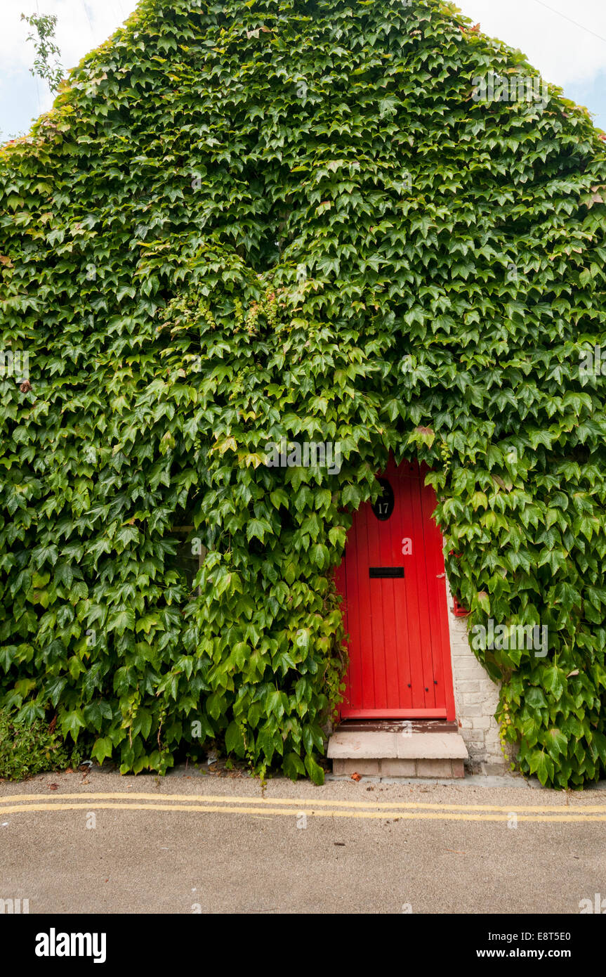 Red ivy cottage hi-res stock photography and images - Alamy