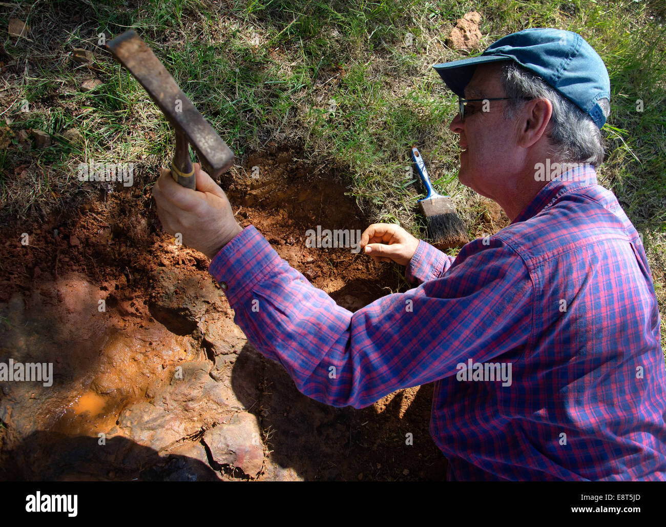 Dr. Robert Weems verified a nodosaur dinosaur footprint at NASA Goddard ...