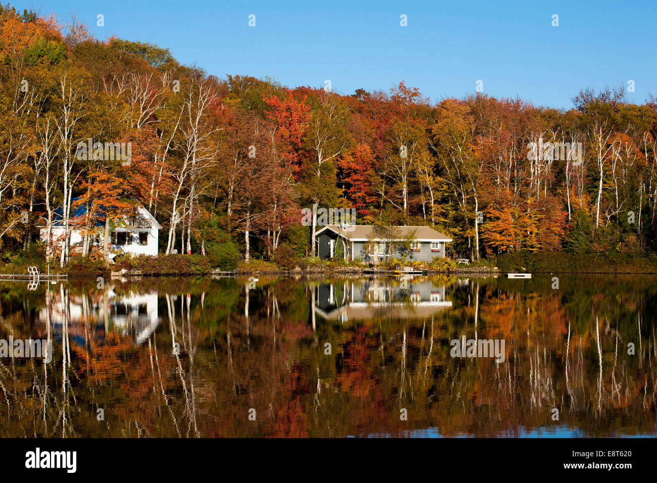 Cottages amongst the trees on Sugarloaf Pond in autumn, Eastern ...