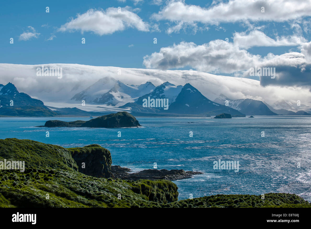 The Bay of Isles on the north east coast, South Georgia and the South ...