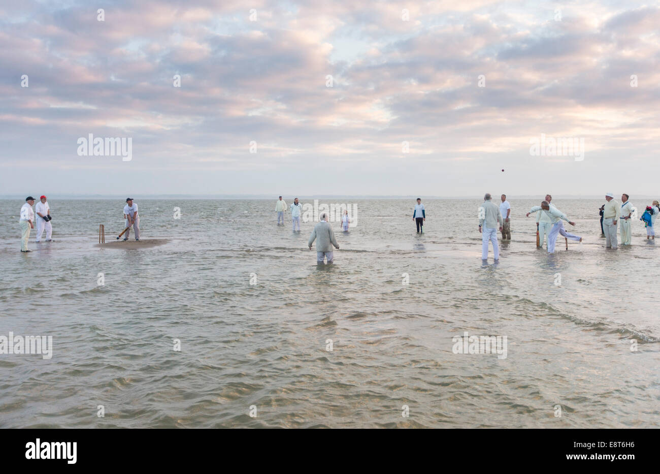 Action during the annual Brambles cricket match between the Island ...