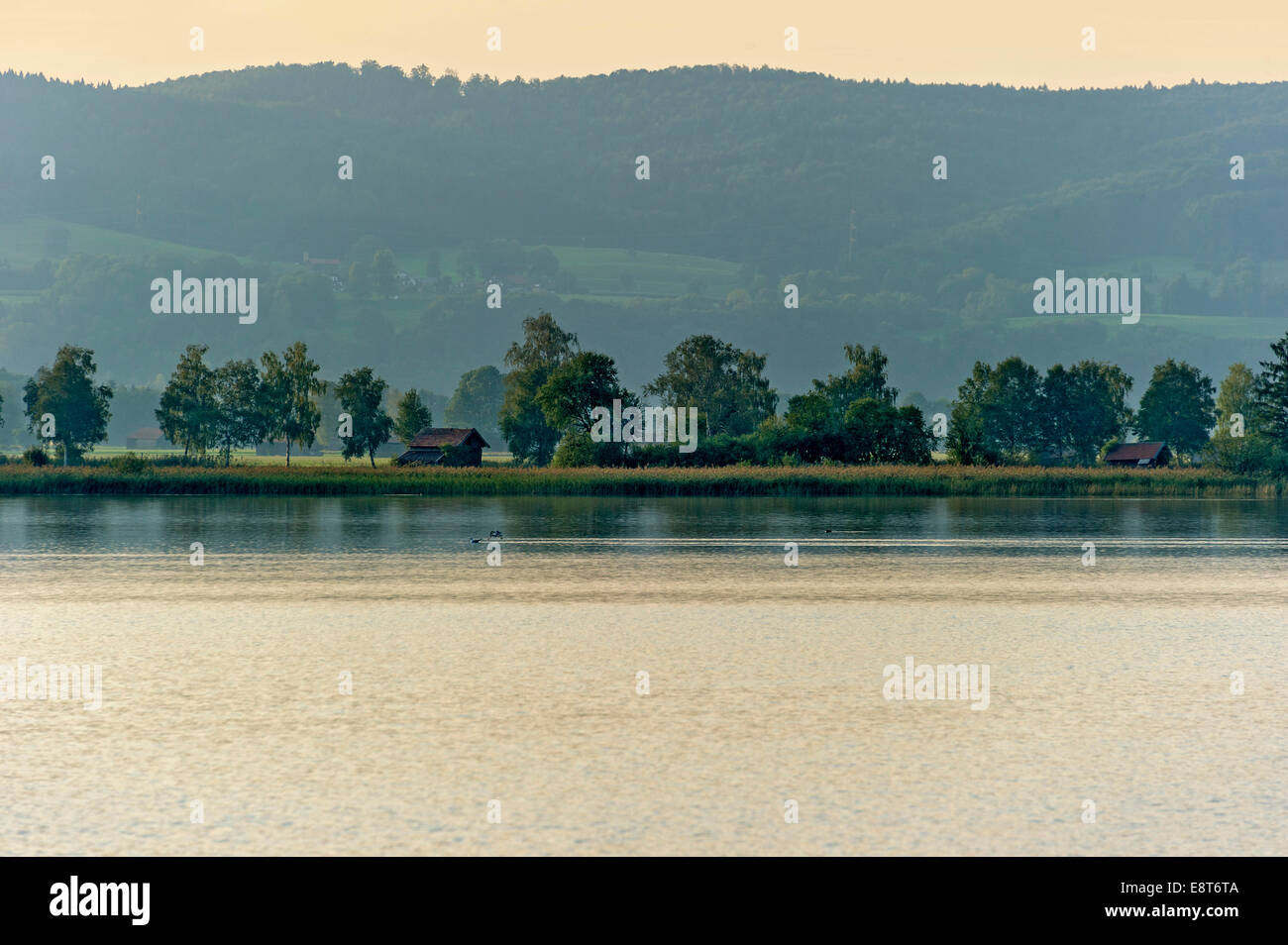 Lake Kochel in the evening, Kochel am See, Upper Bavaria, Bavaria, Germany Stock Photo - Alamy