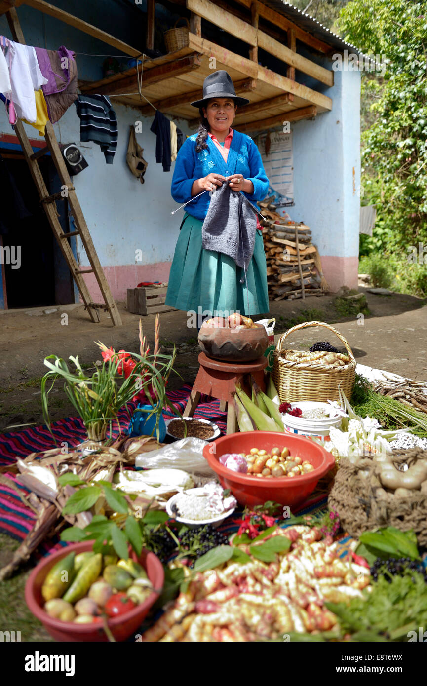 Agriculture farmer peru hi-res stock photography and images - Alamy