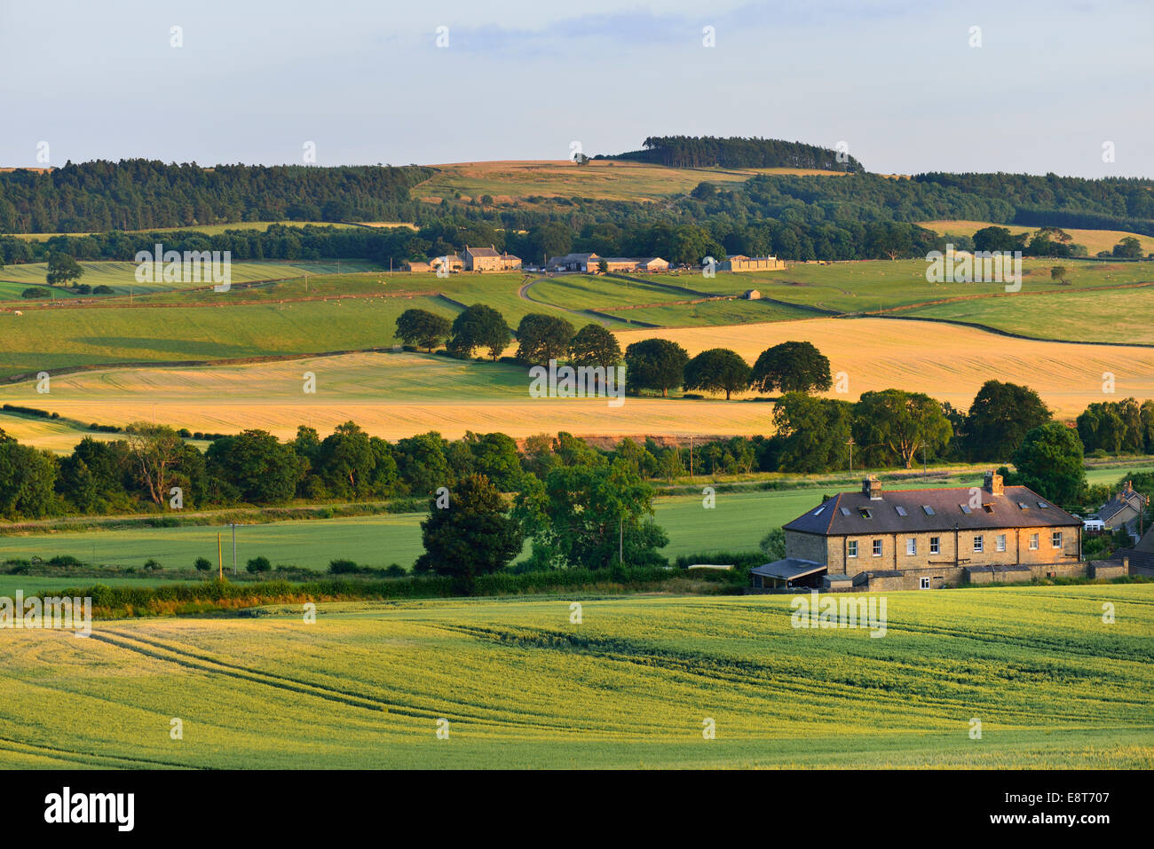 Homestead in a typical landscape, Northumberland, England, United ...