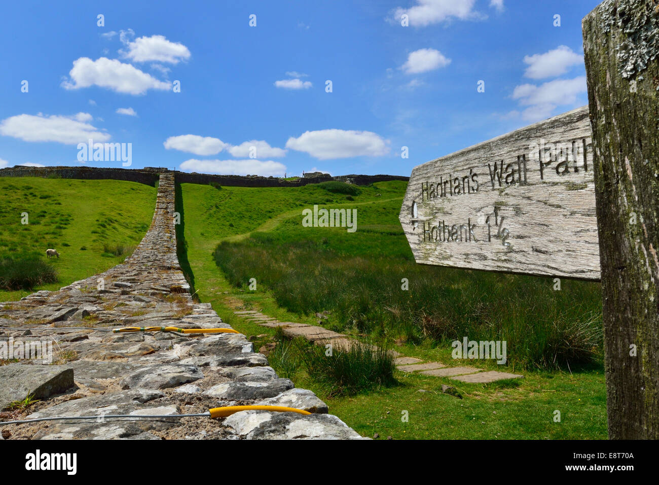 Meandering stone wall hi-res stock photography and images - Alamy