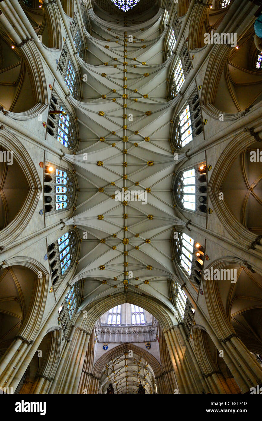 York cathedral interior vault hi-res stock photography and images - Alamy