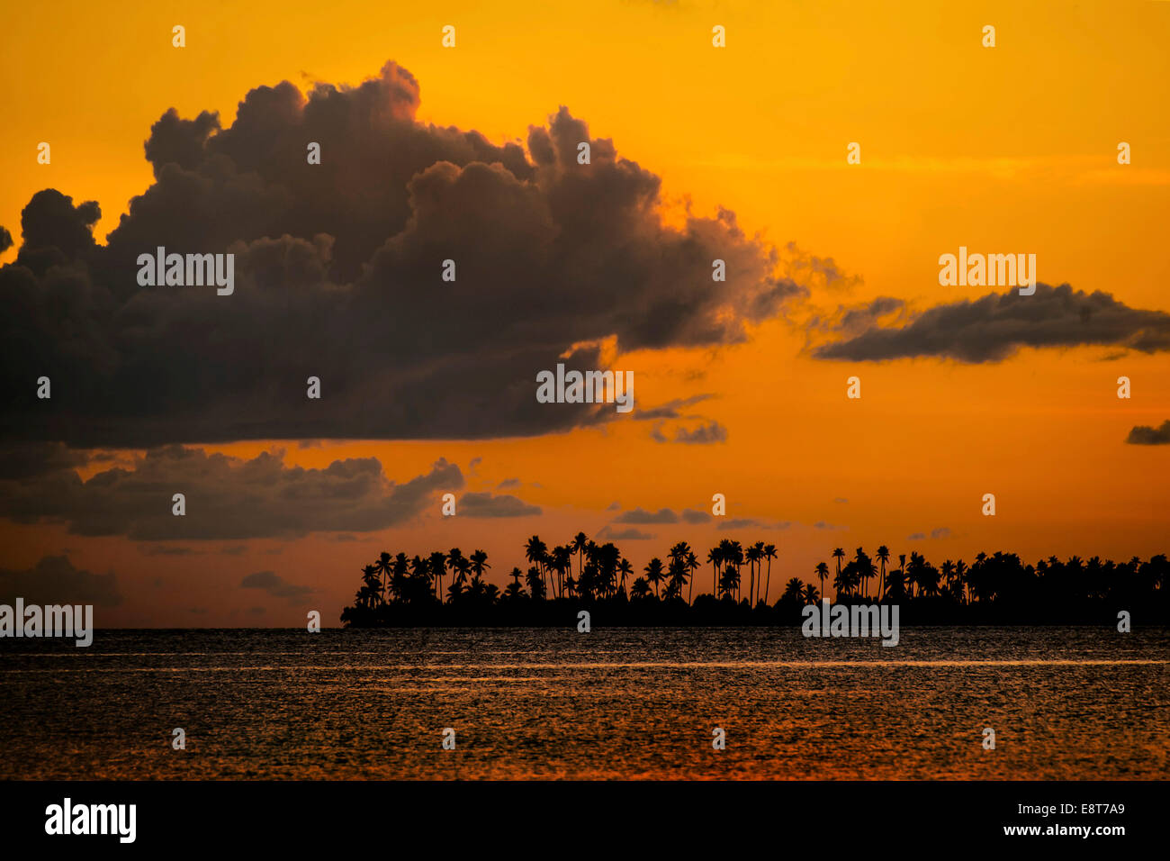 Palm trees indonesia hi-res stock photography and images - Alamy