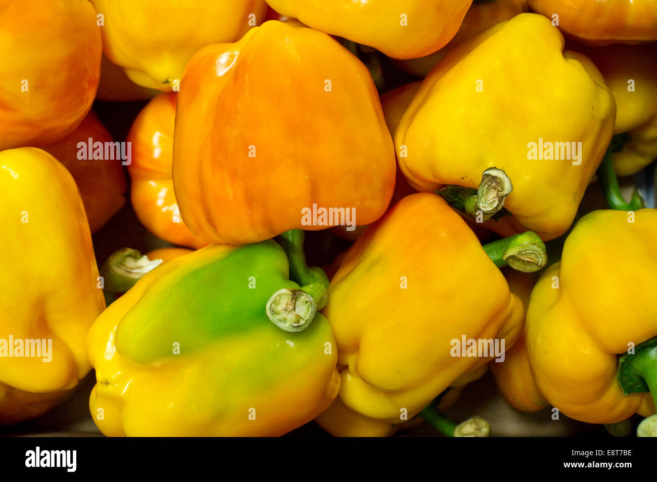 Bell peppers hi-res stock photography and images - Alamy