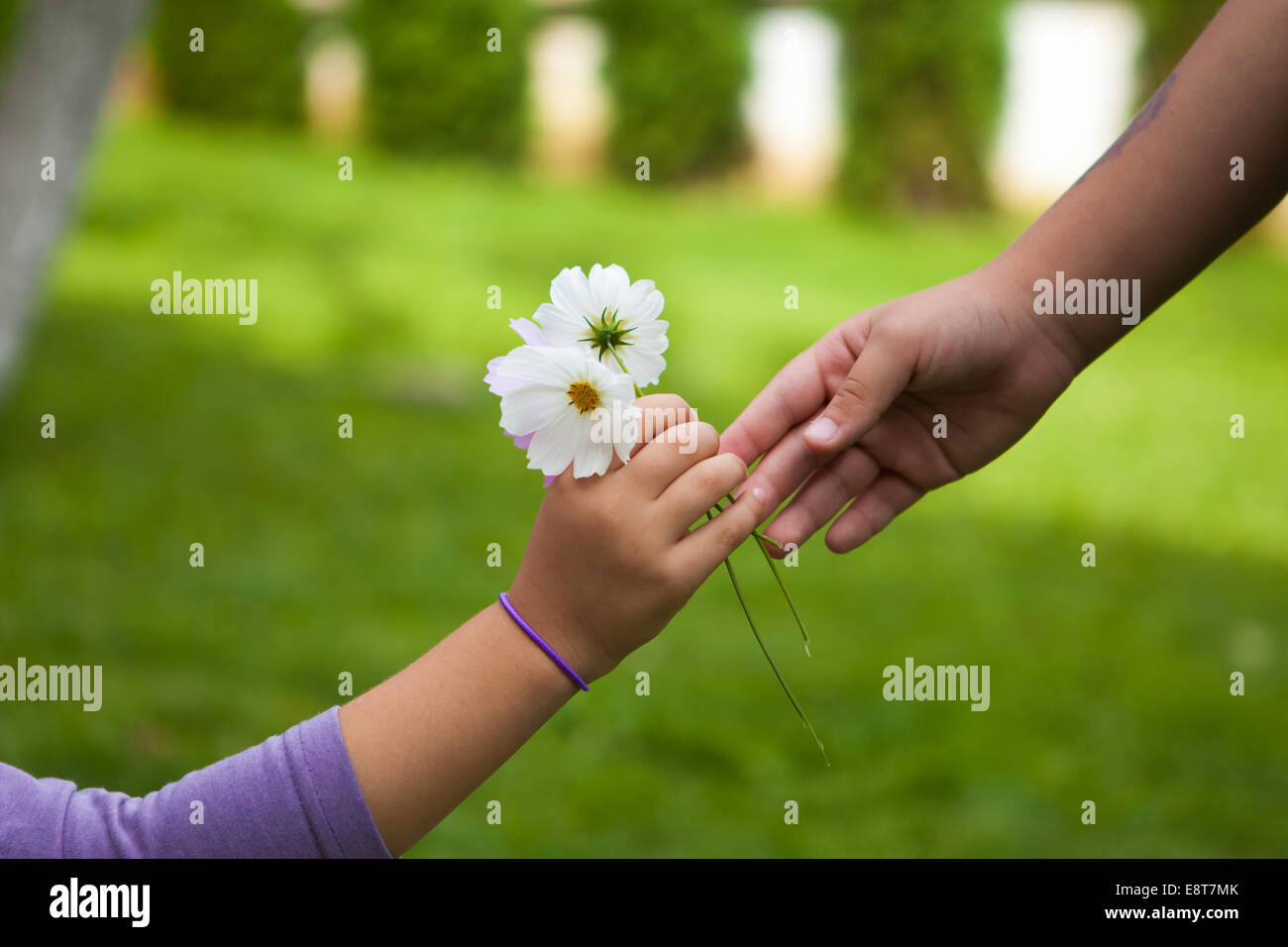 Girl giving boy flowers hi-res stock photography and images - Alamy
