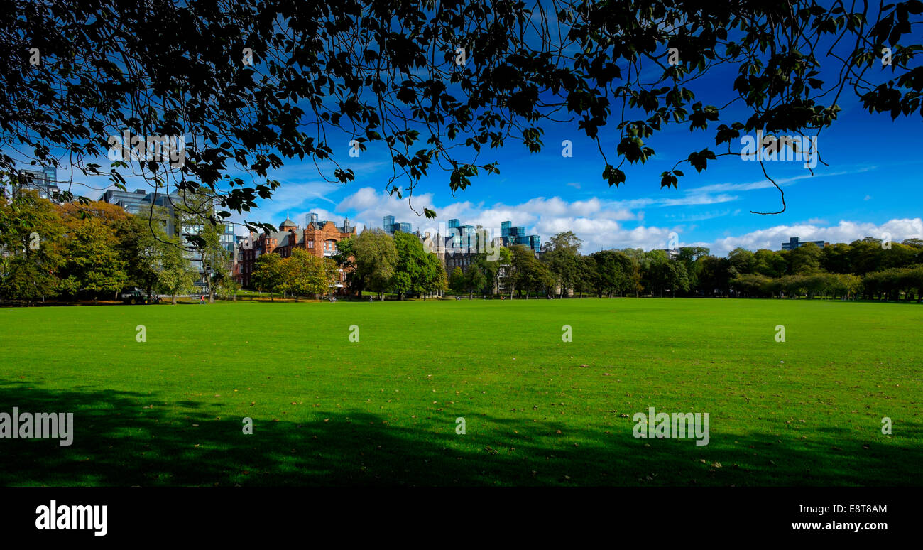 The Meadows in Edinburgh Stock Photo - Alamy