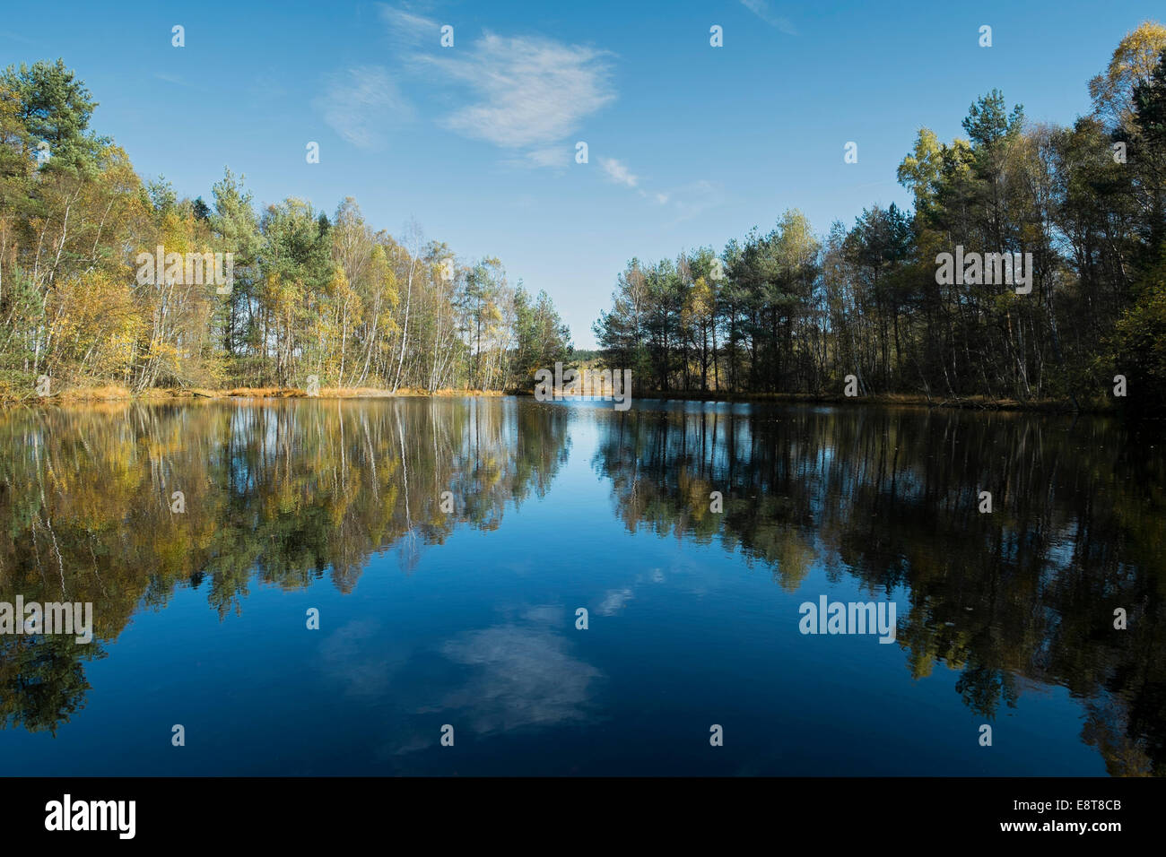 The source of the Neckar River, Schwenninger Moos Nature Reserve, Baden ...