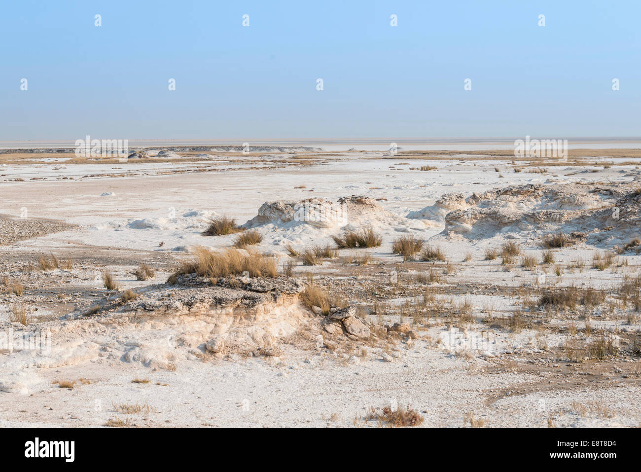 Etosha salt pan, Etosha National Park, Namibia Stock Photo - Alamy