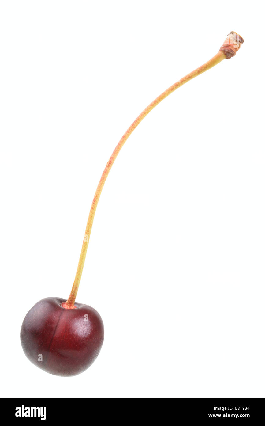 Mark cherry hi-res stock photography and images - Alamy
