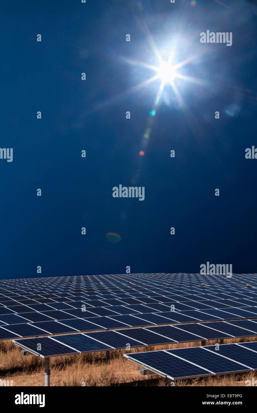 Sun shining over field of solar panels Stock Photo - Alamy