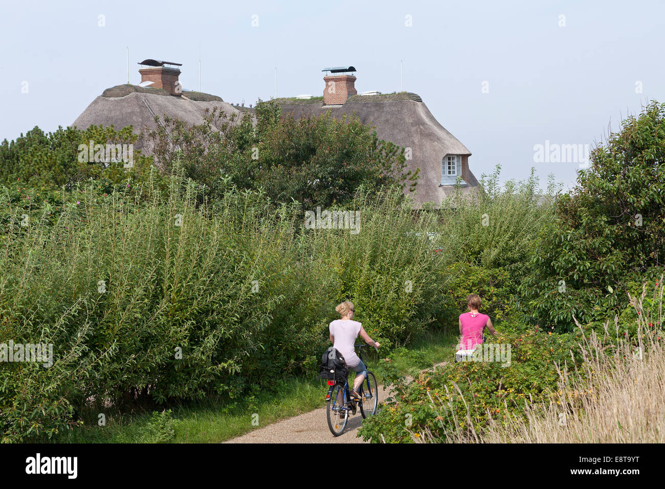 thatched house, Kampen, Sylt Island, Schleswig-Holstein, Germany Stock ...