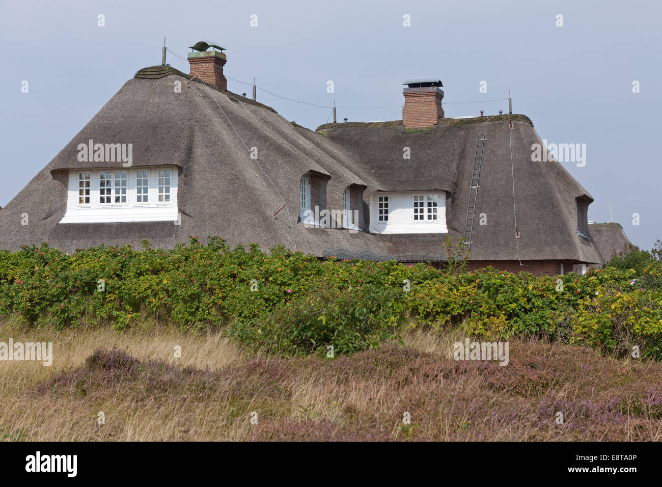 thatched house, Kampen, Sylt Island, Schleswig-Holstein, Germany Stock ...