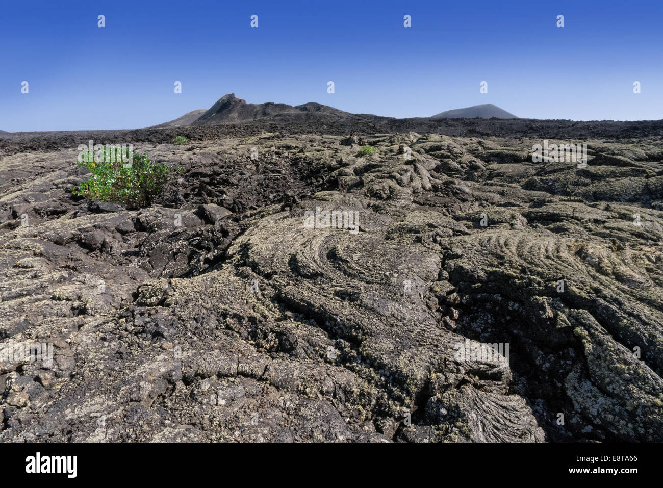 Solidified lava field hi-res stock photography and images - Alamy