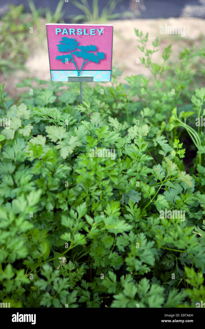 Abundance outdoors farming hi-res stock photography and images - Alamy