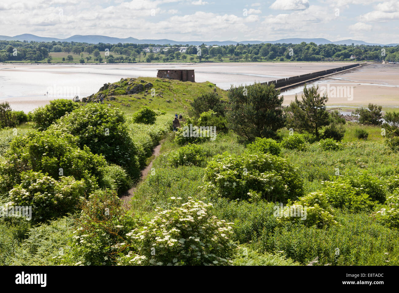 Cramond Island and causeway Stock Photo - Alamy