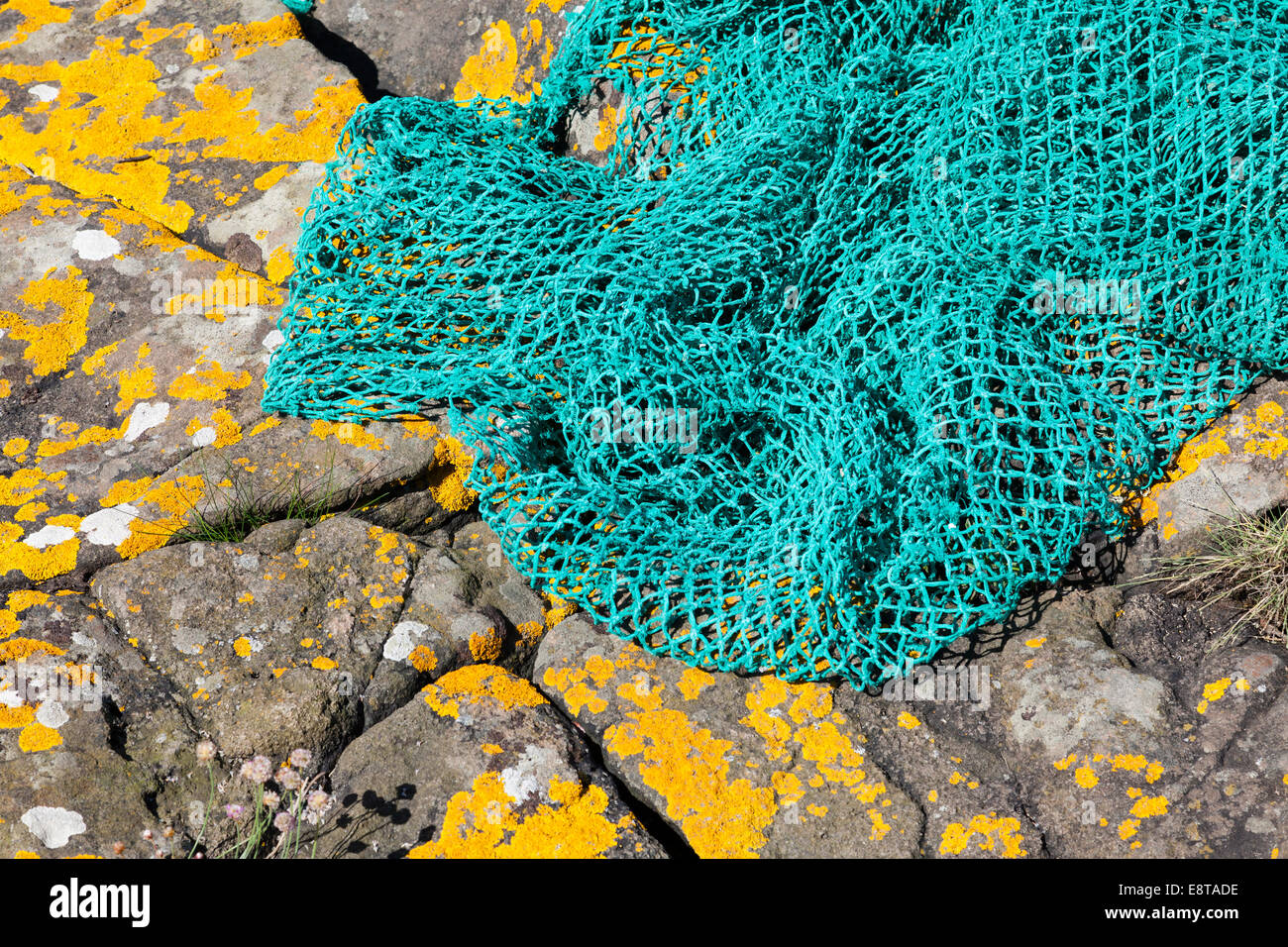 Fishing net on the rocks Stock Photo - Alamy