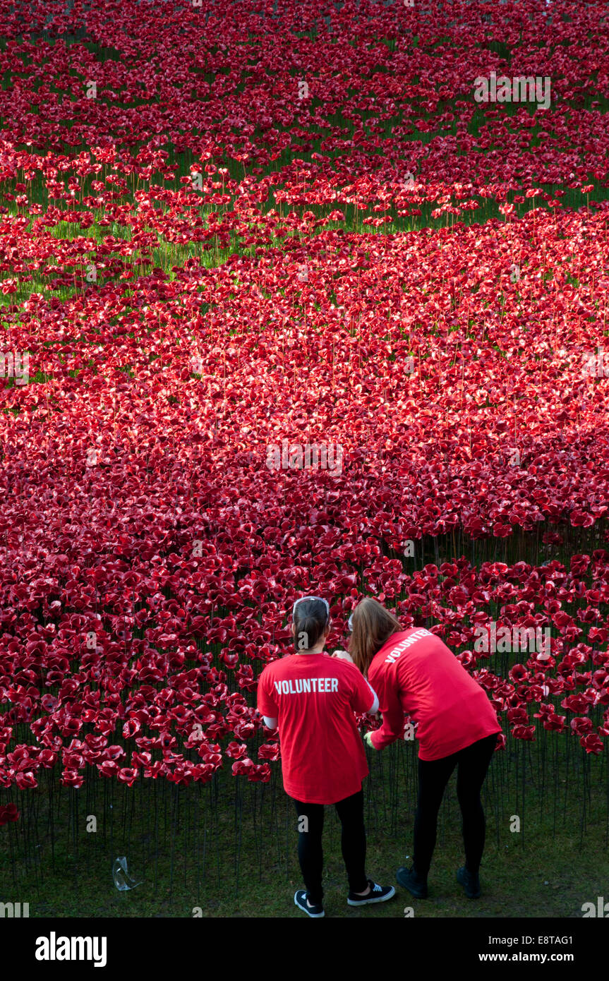 Tower of London Remembers poppy installation Stock Photo - Alamy