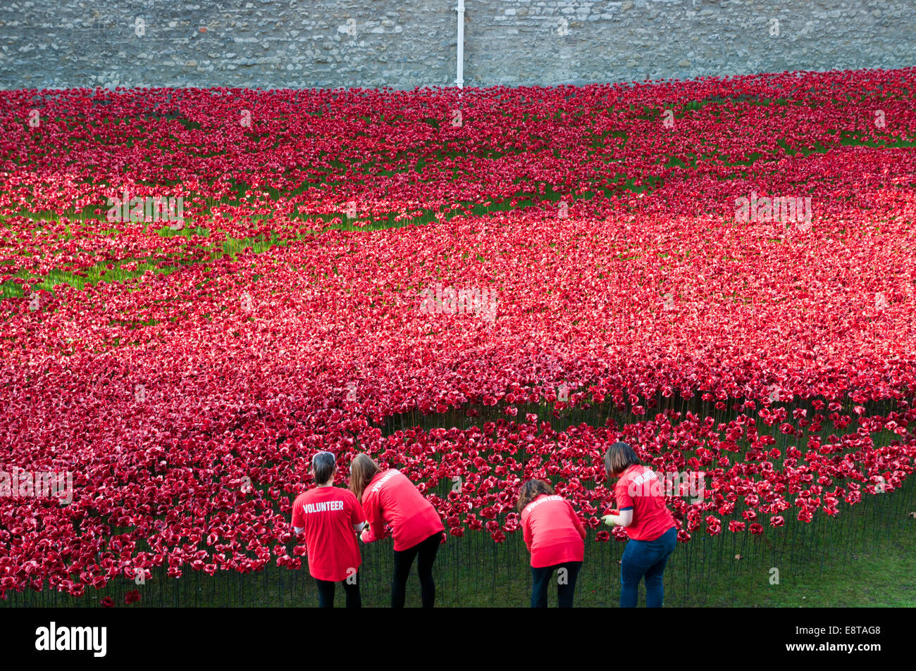 Tower of London Remembers poppy installation Stock Photo - Alamy