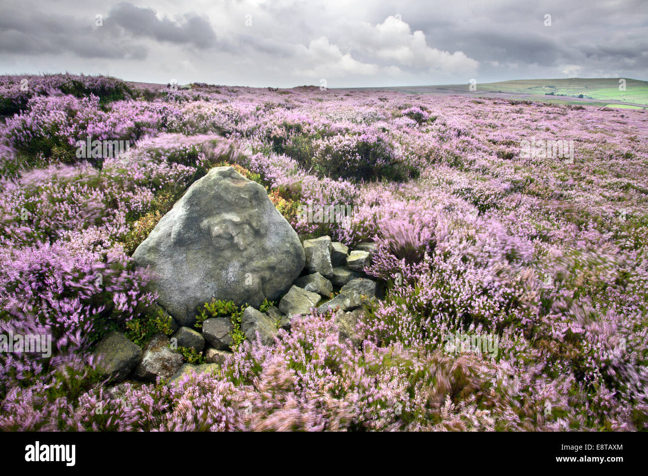 Windy moor High Resolution Stock Photography and Images - Alamy