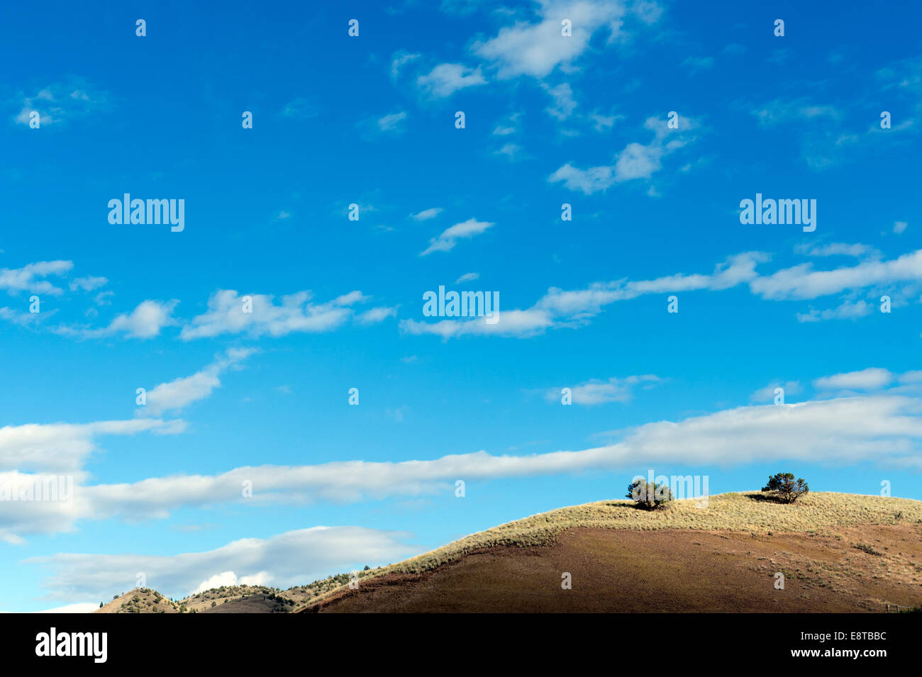 Blue shale hi-res stock photography and images - Alamy