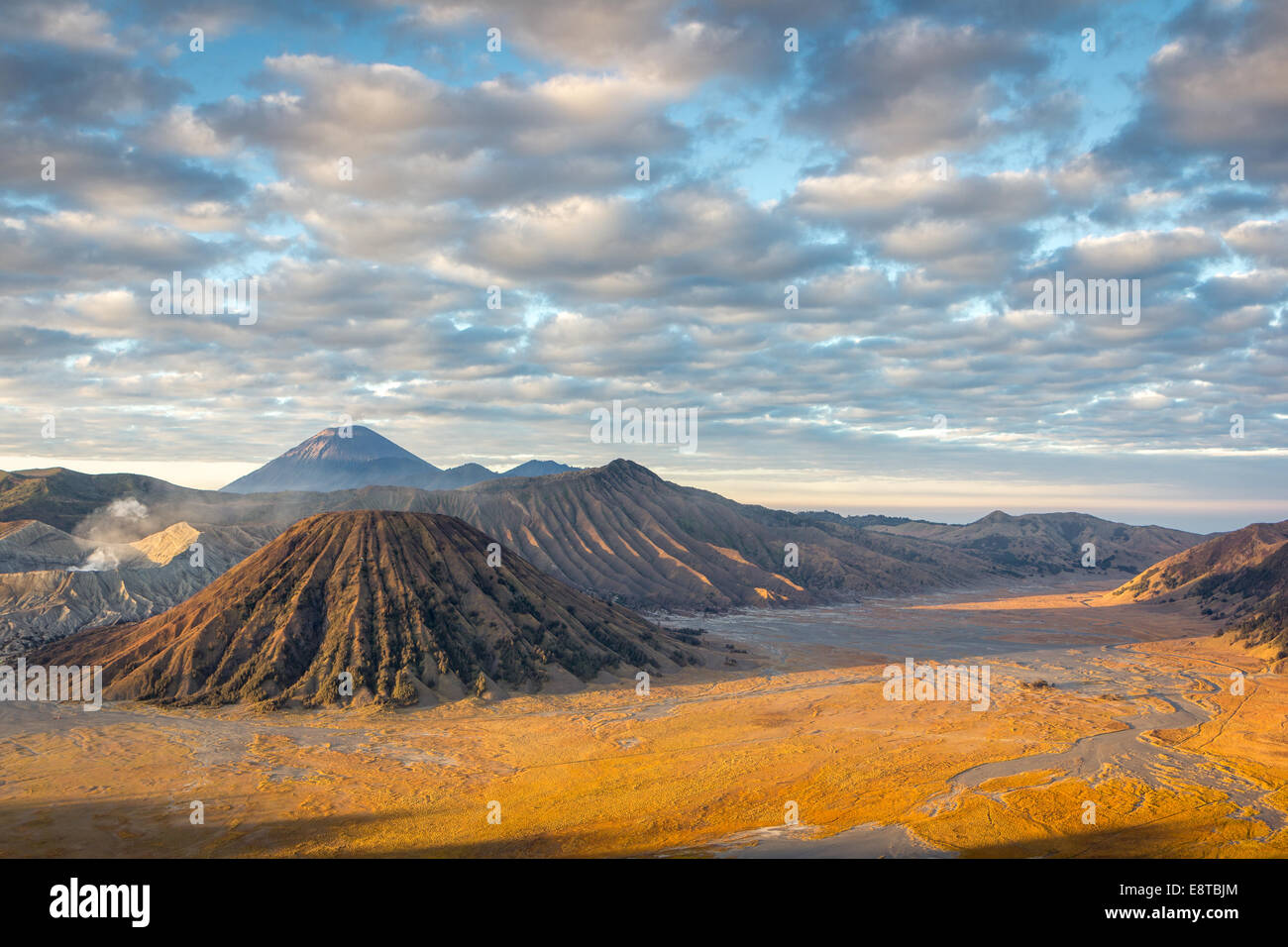 The Golden Morning at Mountain Bromo Stock Photo - Alamy