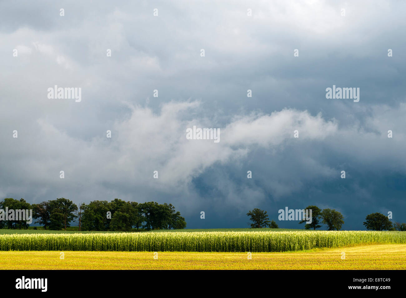 Storm clouds over rural landscape Stock Photo - Alamy
